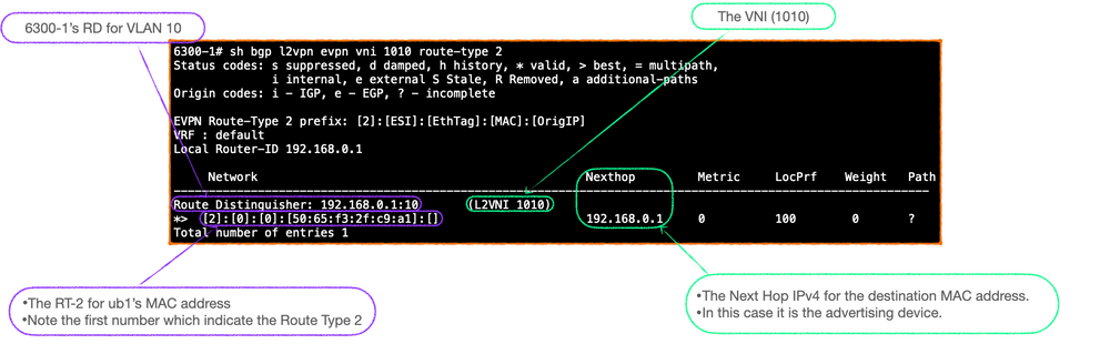 EVPN-VXLAN Explainer 3 - BGP UPDATE & Route Type 2